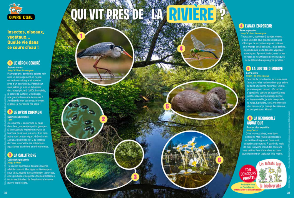 Ressources Pédagogiques - Enfants pour la biodiversité